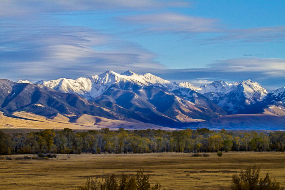 Lessees Left in Limbo | Restructuring GlobalView